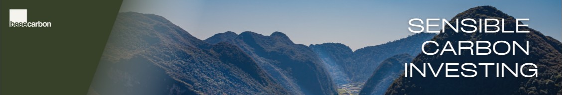 Investing in Carbon Credits: Top Stocks and ETFs