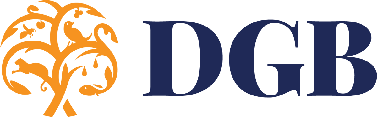 Investing in Carbon Credits: Top Stocks and ETFs