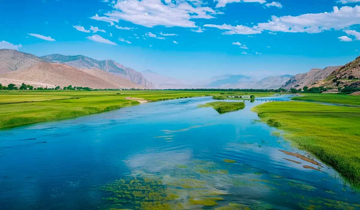 Pakistan Joins Global Carbon Trade with First Article 6 Project Greenlights