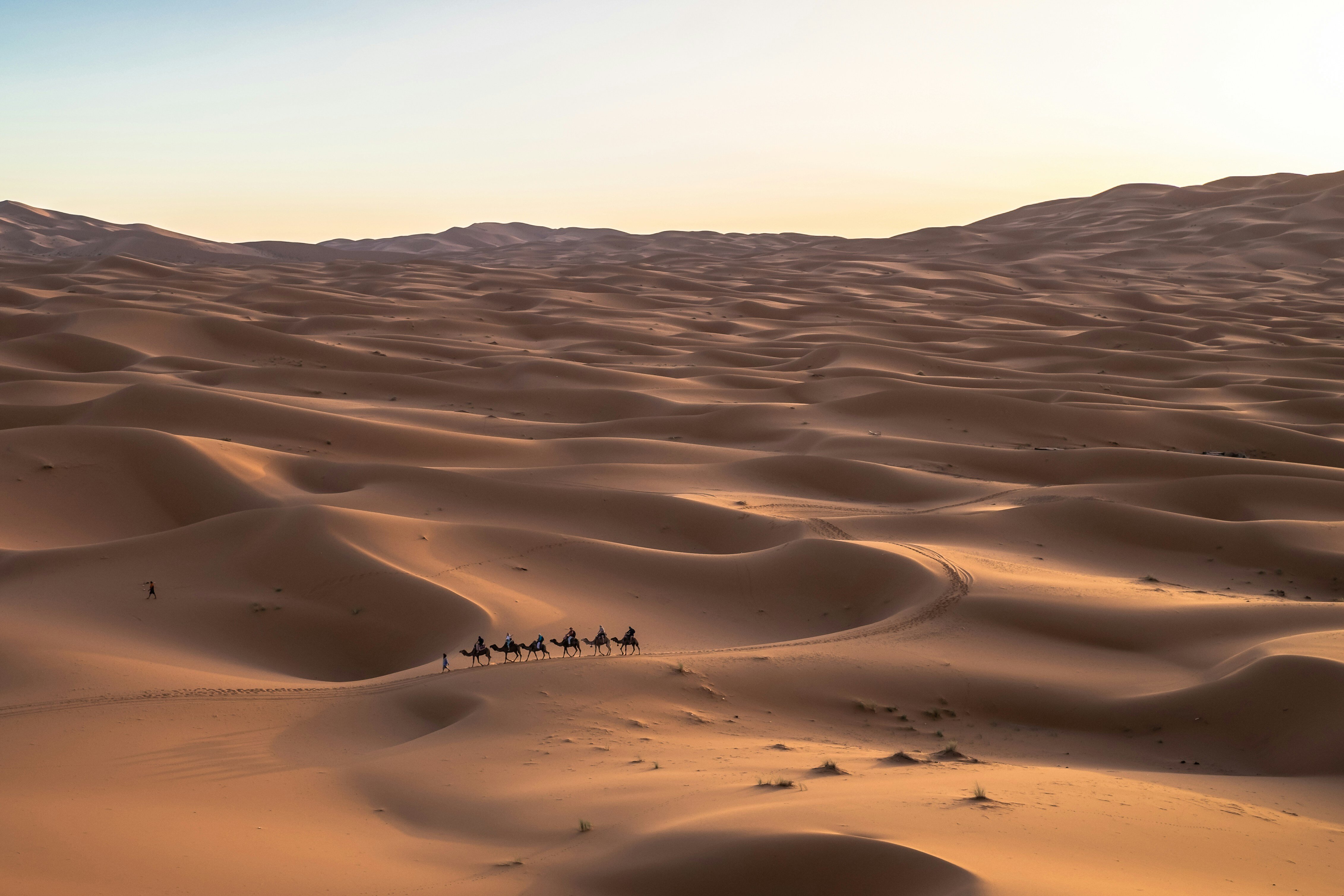 Saudi Aramco's Net Zero Goal by 2050: Achieving Sustainability with 16 ...