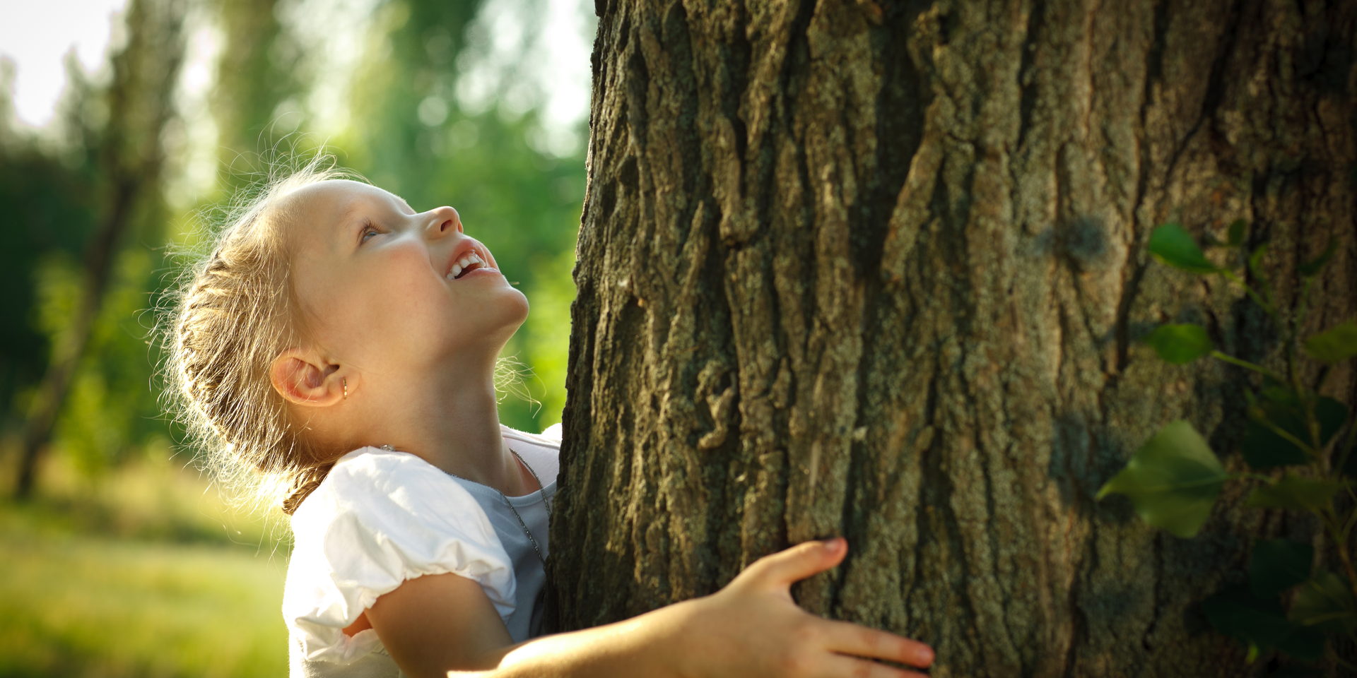 CarbonUnits.com / About us